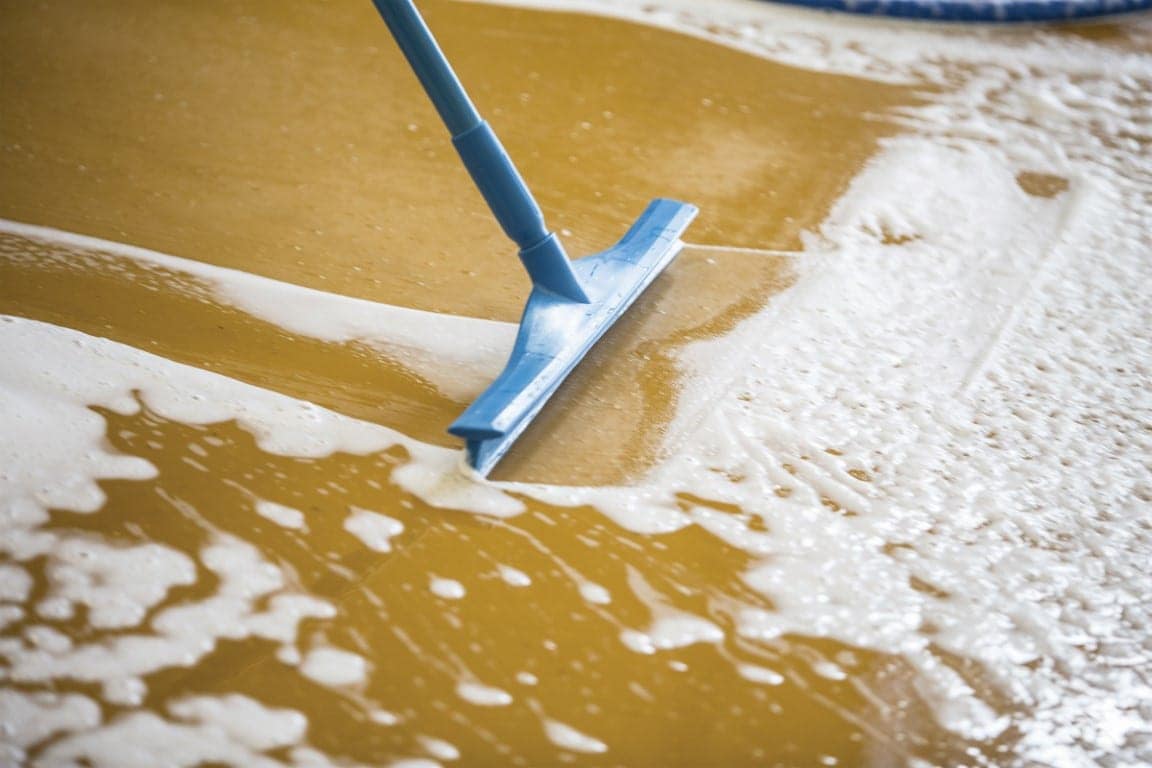 Cleaning Tools Reduce Disease Transmission Risk - ProVetLogic